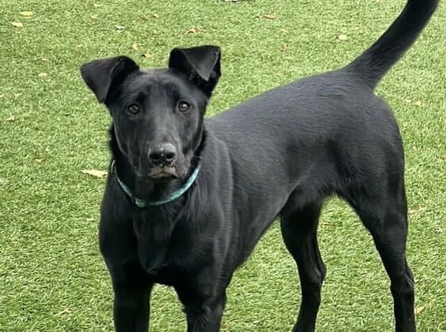 Matt Rife and Elton Castee offer to buy ‘The Conjuring’ house